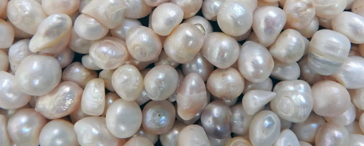 Freshwater vs Saltwater Pearls: Which is Better? (2026 Guide)